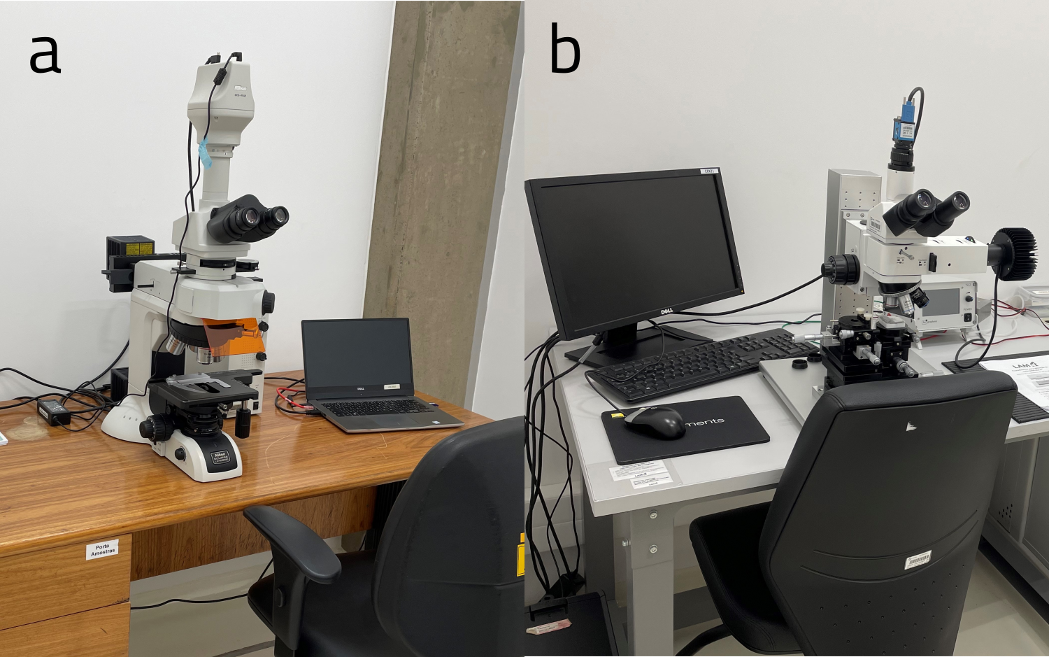 Assembly and Commissioning of the Microscopic Samples Laboratory – LNLS